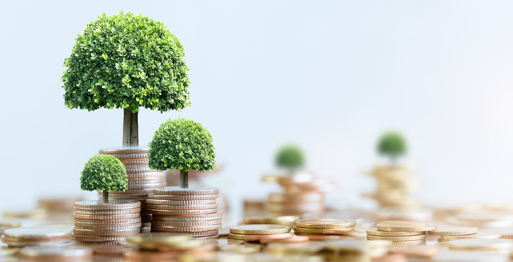 C&W Companies to Spend $2.4 Million on Expansion